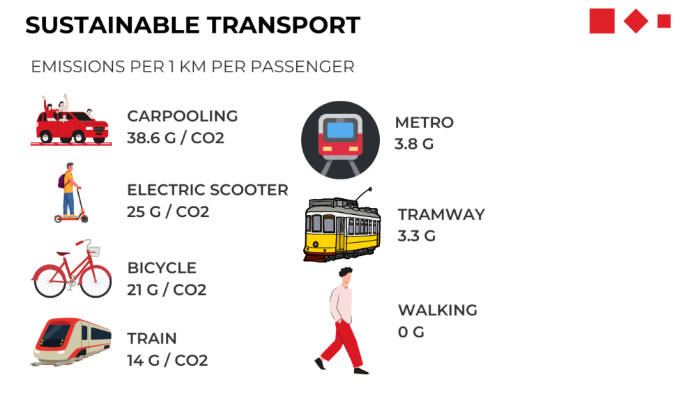 Real-Time Data Sustainable Transportation: Greener Cities